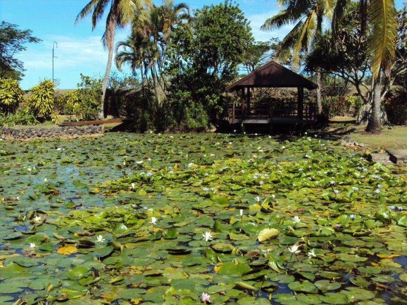 Gecko’s Resort - Fiji's Coral Coast