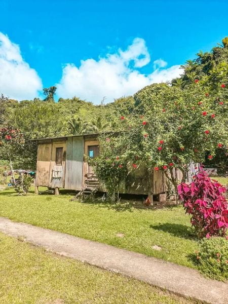 River Tubing Fiji – Best Day Trips On Coral Coast Fiji - Fiji's Coral Coast