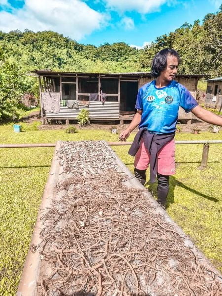River Tubing Fiji – Best Day Trips On Coral Coast Fiji - Fiji's Coral Coast