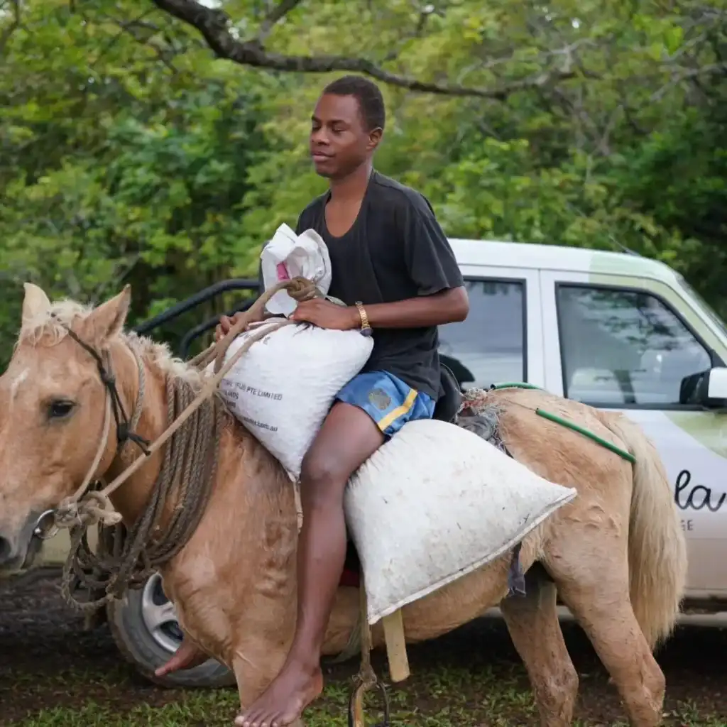 The Coral Coast's Bula Coffee: now in New Zealand roasting in Tauranga ...